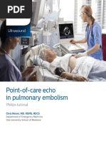 TTE TEE Report Template | PDF