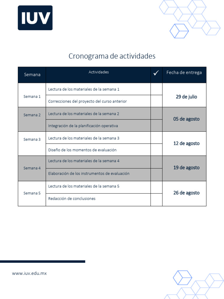 Cronograma de Actividades 5S | PDF