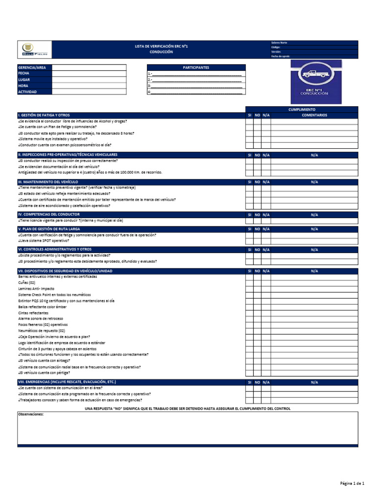 Verificación de Seguridad Vehicular ERC | PDF | Vehículos