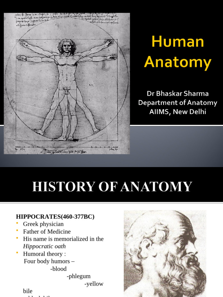Key Figures and Concepts in Anatomy | PDF | Anatomical Terms Of Motion ...