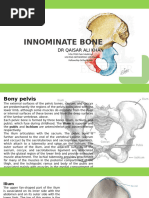 Chicken Skeletal Anatomy Overview | PDF | Pelvis | Skeletal System