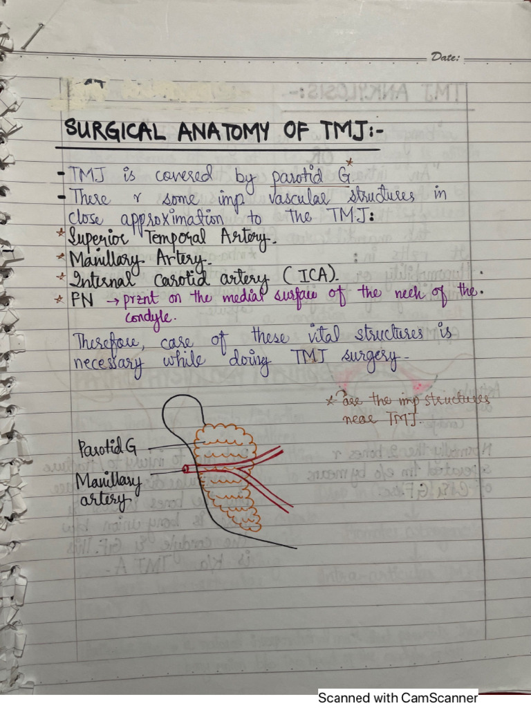 Surgical Anatomy of TMJ | PDF