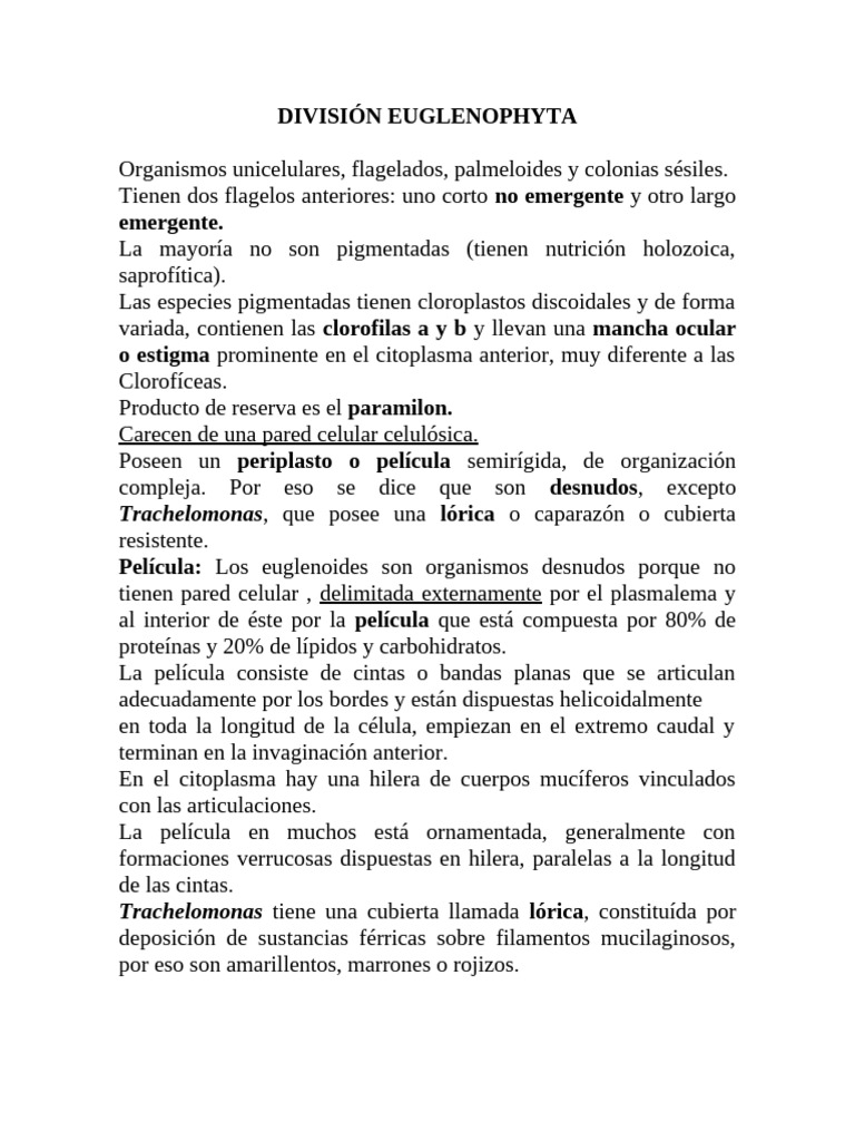 División Euglenophyta - JPC | PDF | Biología Celular