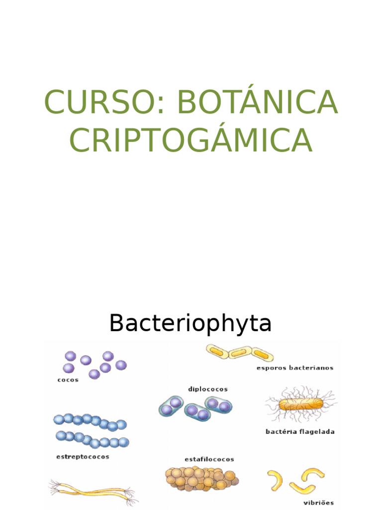 Botánica Criptogámica - Introducción - Jpc | PDF