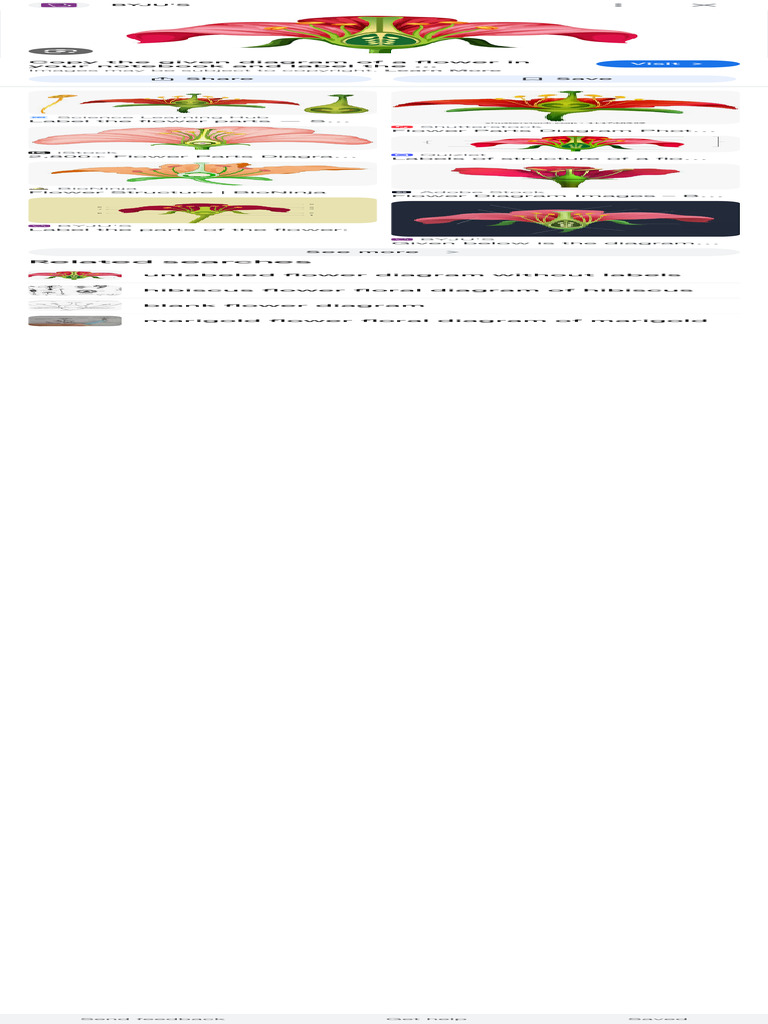 Searchq Diagram+of+Flower+Without+Labelling&Rlz 1CDGOYI EnIN1077IN1077 ...