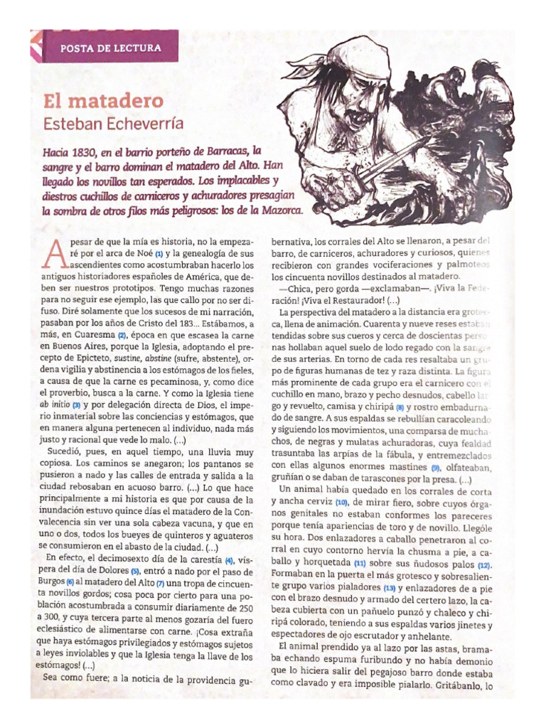 El Matadero, Esteban Echeverría | PDF