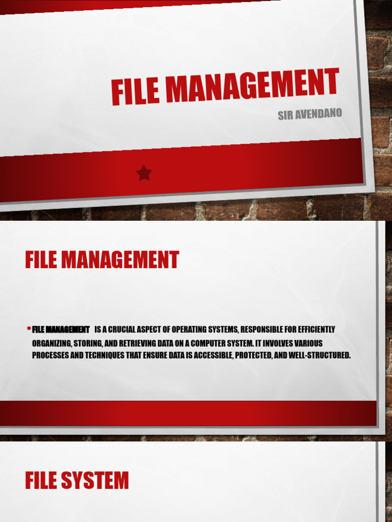 Week 4 File Management | PDF