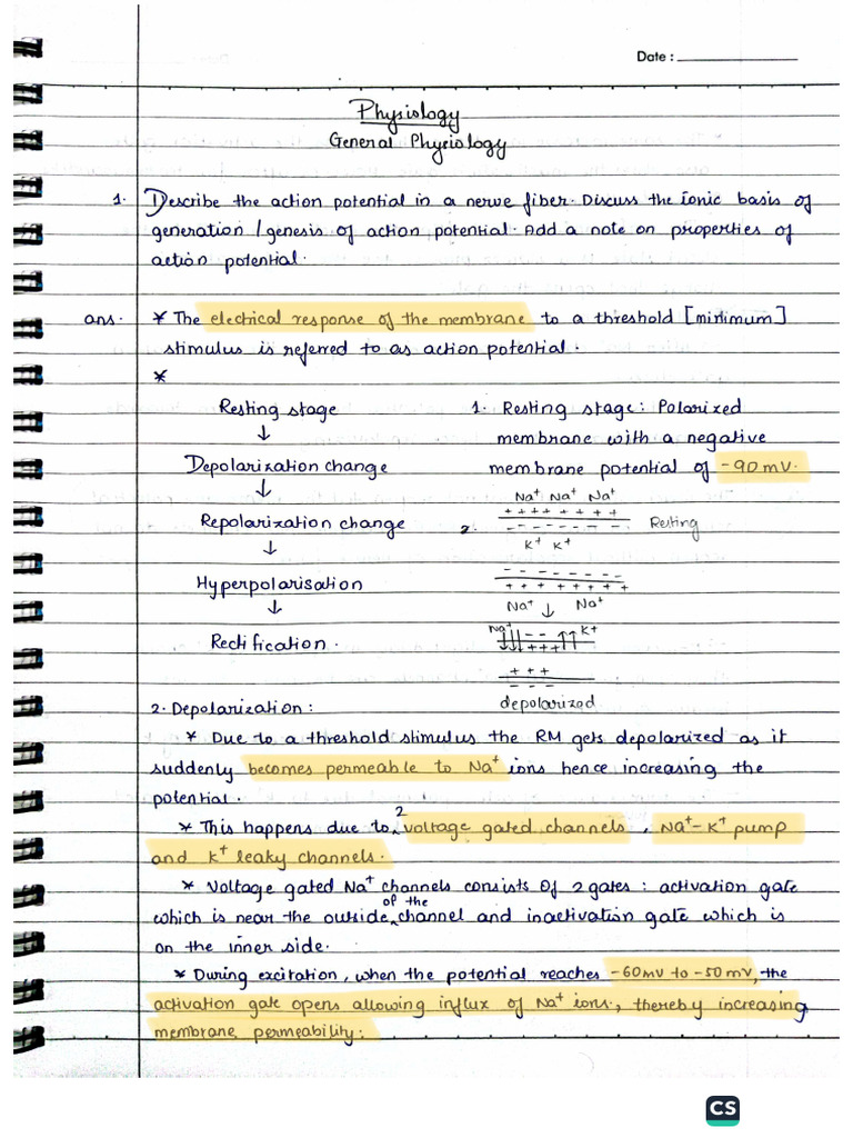 3rd Question Action Potential | PDF