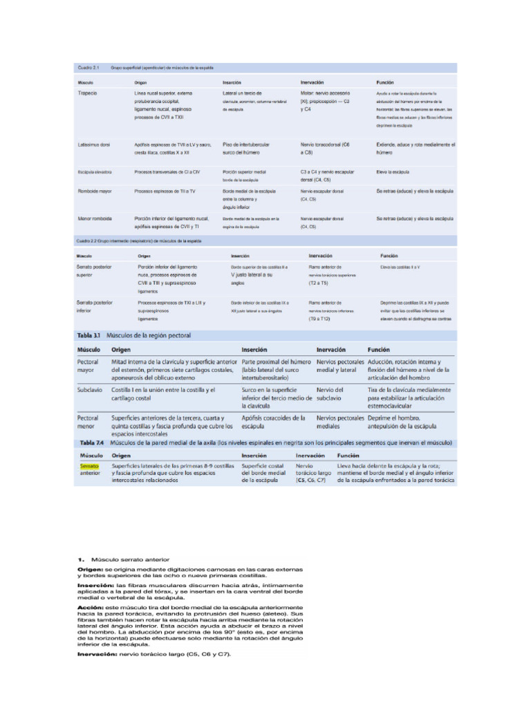 Cuadro Resumen | PDF