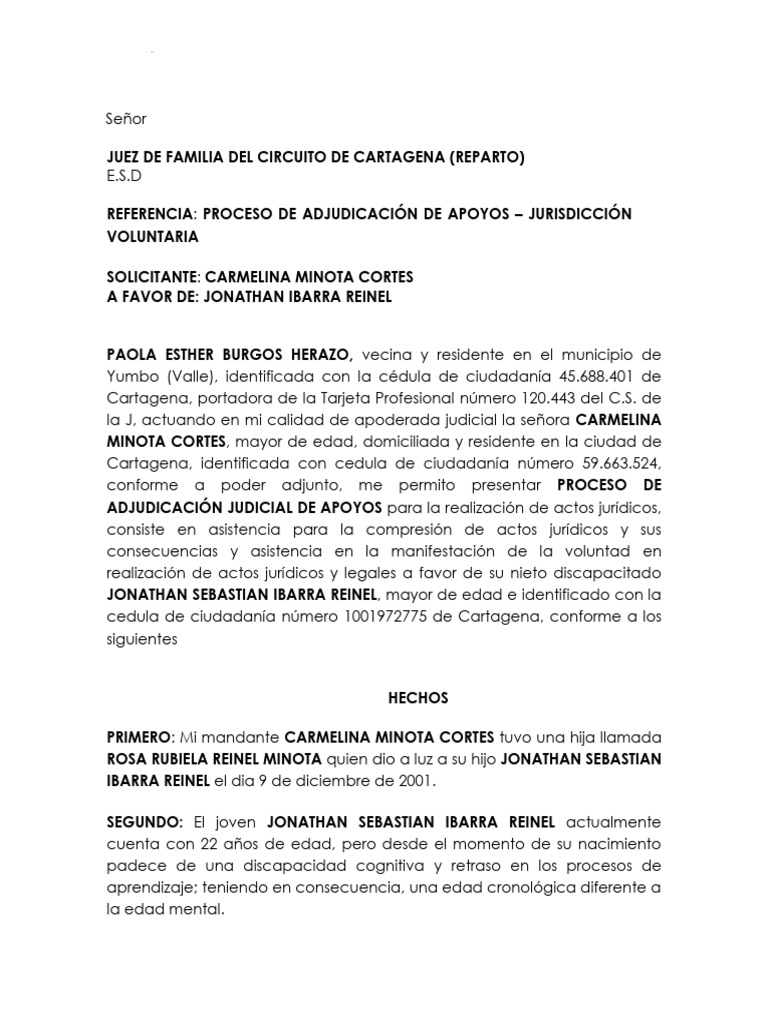 Demanda Adjudicacion Judicial de Apoyo Jonathan Ibarra Reinel | PDF | Documento de identidad ...