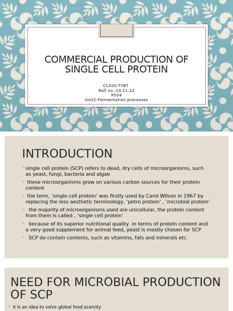 Commercial Production of Single Cell Protein - 10,11,12 | PDF ...