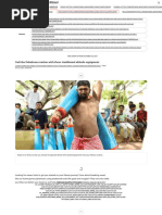 Erridea Creatures of Sonaria Wiki Fandom | PDF