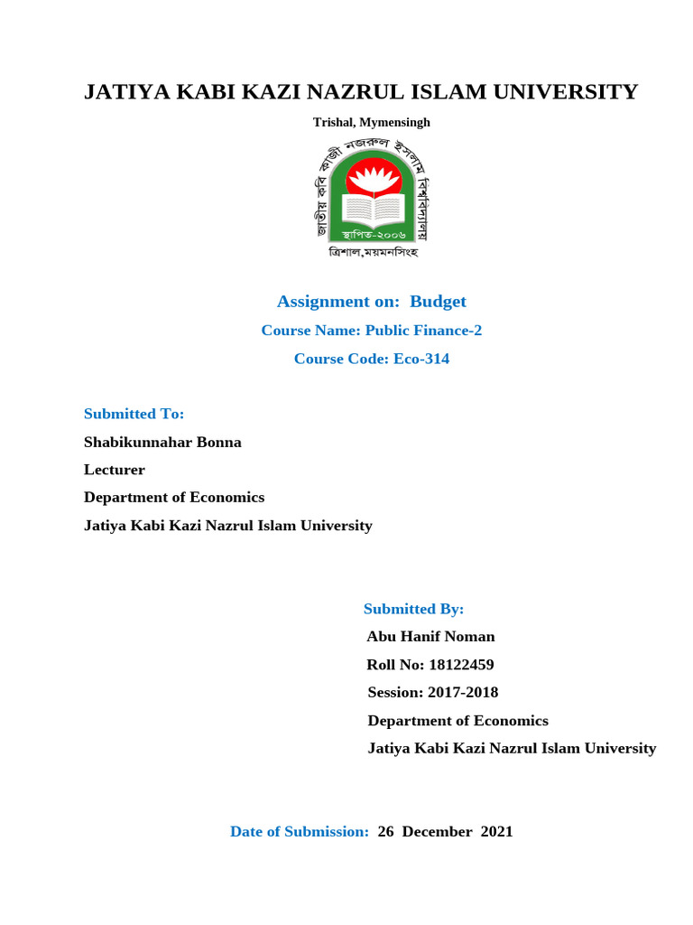 Public Finance Budget Assignment 2021 | PDF