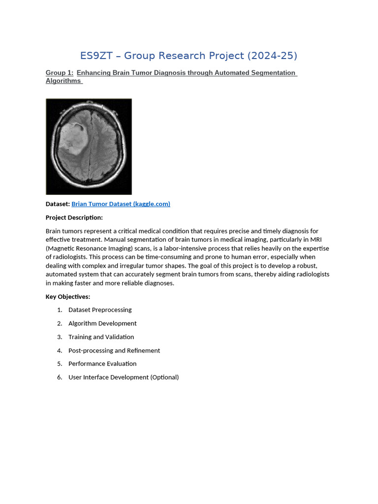 Automated Brain Tumor Segmentation | PDF