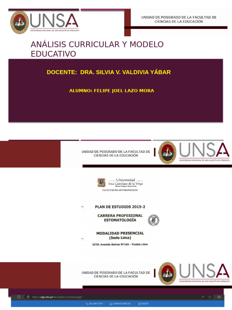 Analisis Curricular - Felipe Lazo Mora | PDF | Plan de estudios | Enseñando
