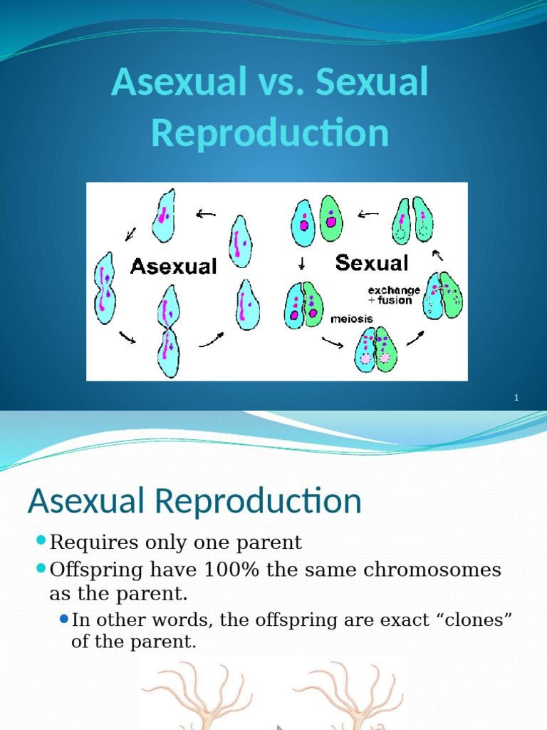 Reproduction PPT (1) | PDF | Sexual Reproduction | Reproduction