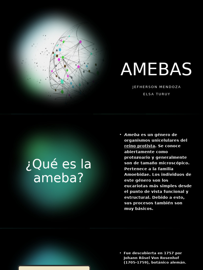 Amebas | PDF | Biología Celular) | Citoplasma