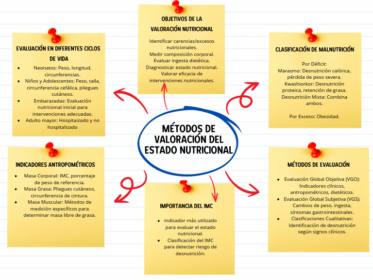Métodos de Valoración Del Estado Nutricional - Mapa | PDF | Índice de masa corporal | Pérdida de ...