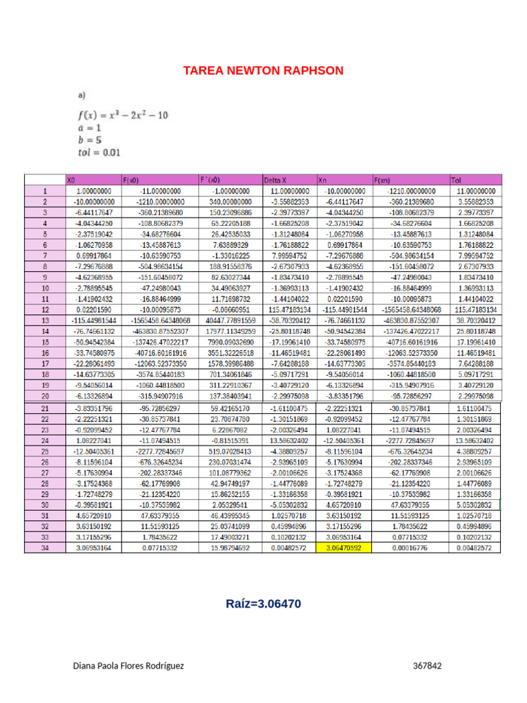 Tarea Newton Raphson | PDF