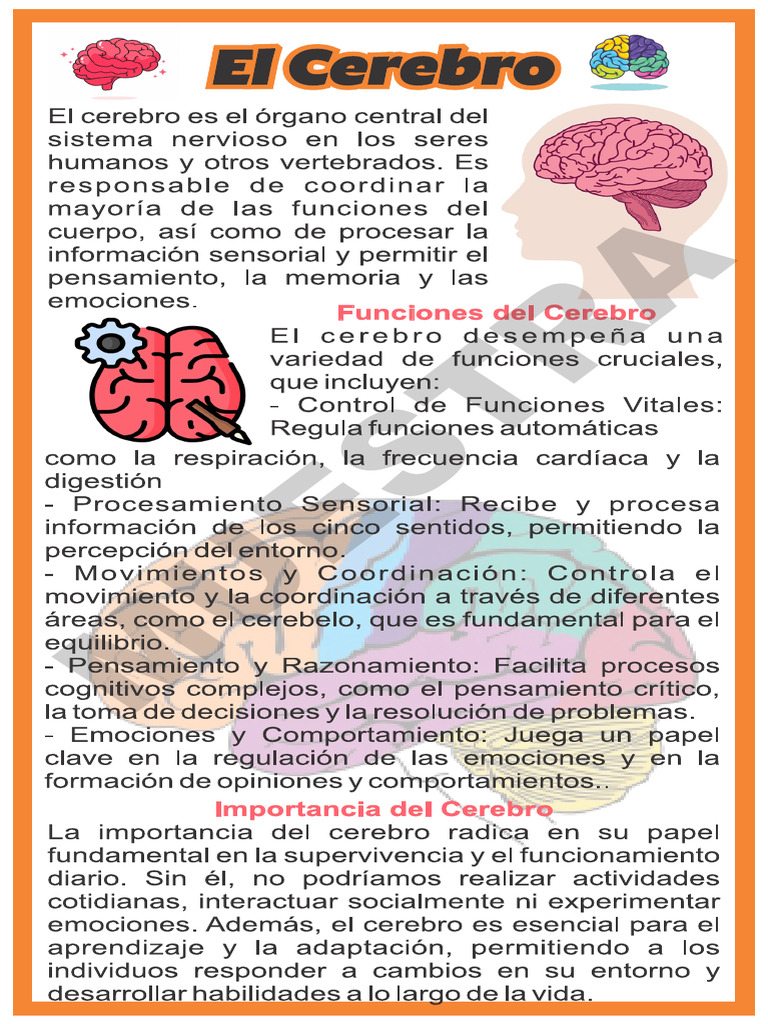 El Crebro Cartel | PDF