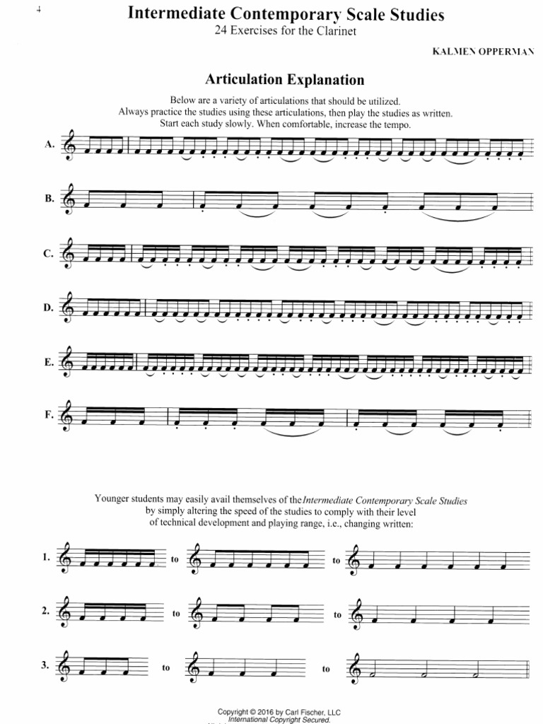 Articulation Explanation | PDF