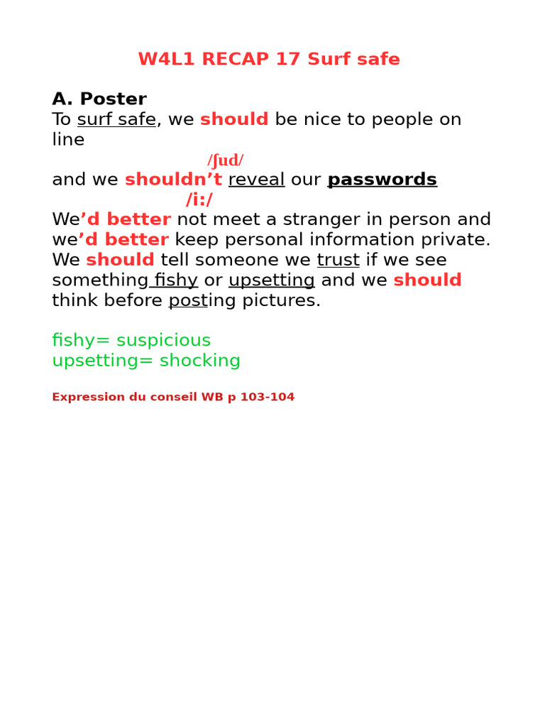 Safe Surfing Guidelines Recap | PDF