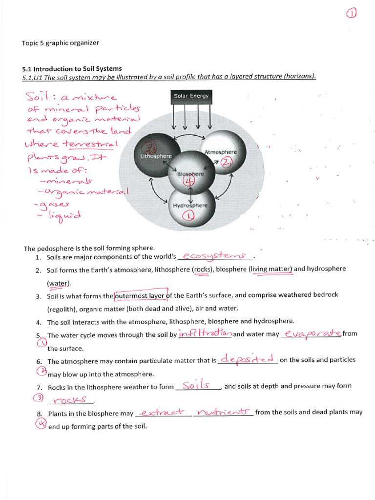 Topic 5 Graphic Organier COMPLETE | PDF