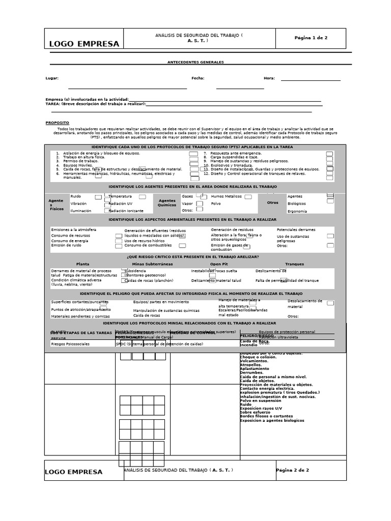 Formato Ast | PDF | Seguridad y salud ocupacional | Naturaleza