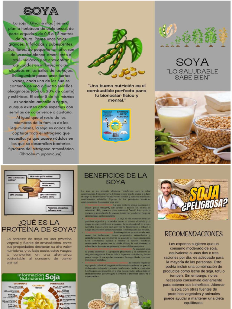 Triptico Soya | PDF