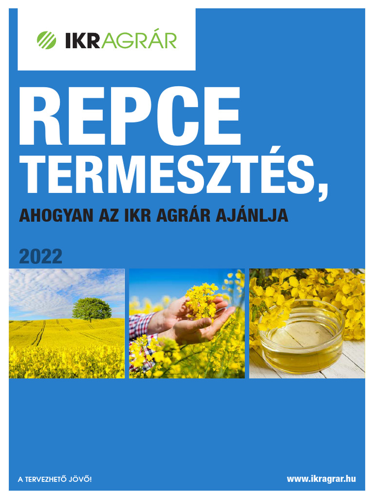Repce Brochure 12p 2022 Web | PDF