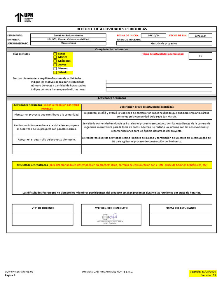 Formato RAP Nº1 - 2024 II | PDF