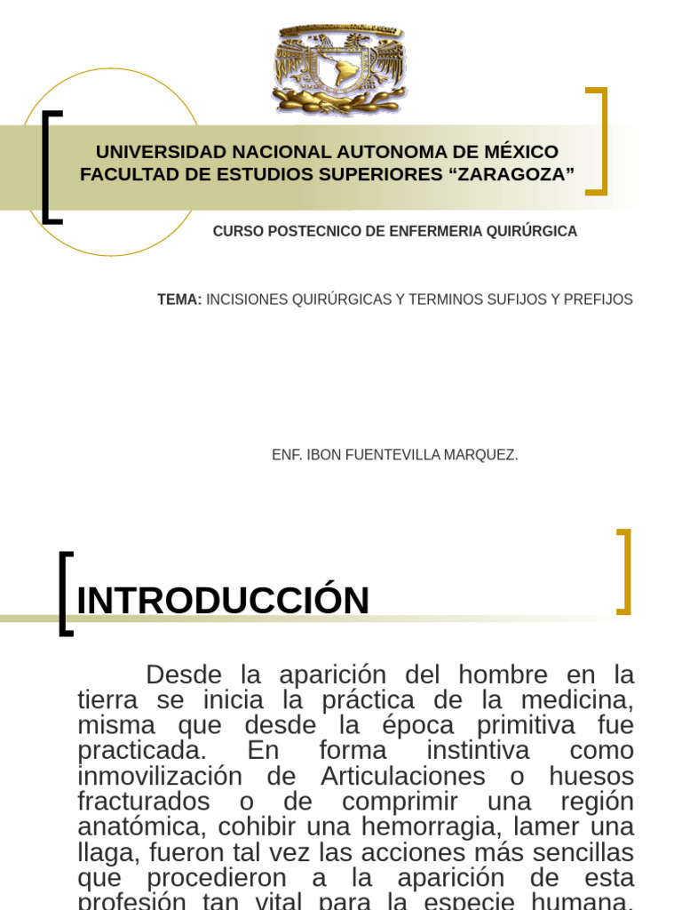 Incisiones Quirurgicas Eq1 | PDF | Abdomen | Cirugía