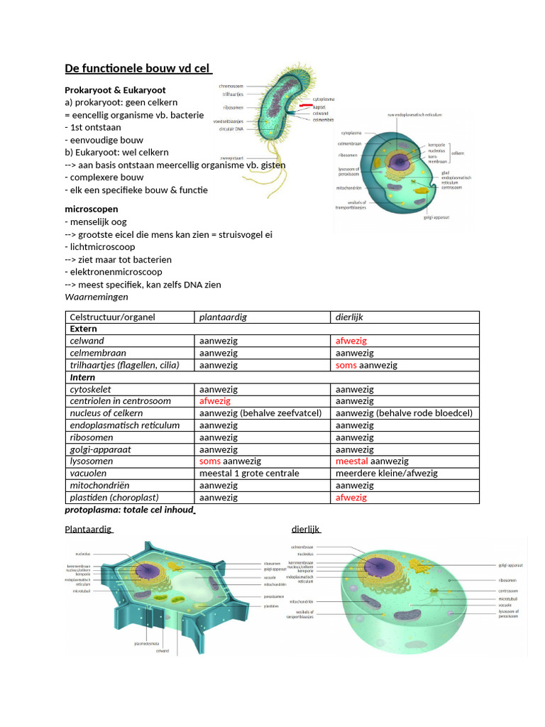 Thema 1 de Functionele Bouw VD Cel | PDF