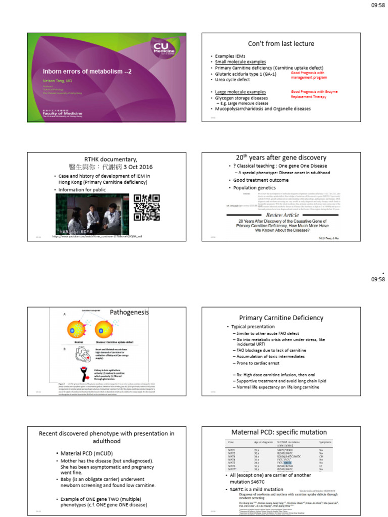 IEM Lecture 2 2024 | PDF | Glycogen | Metabolism