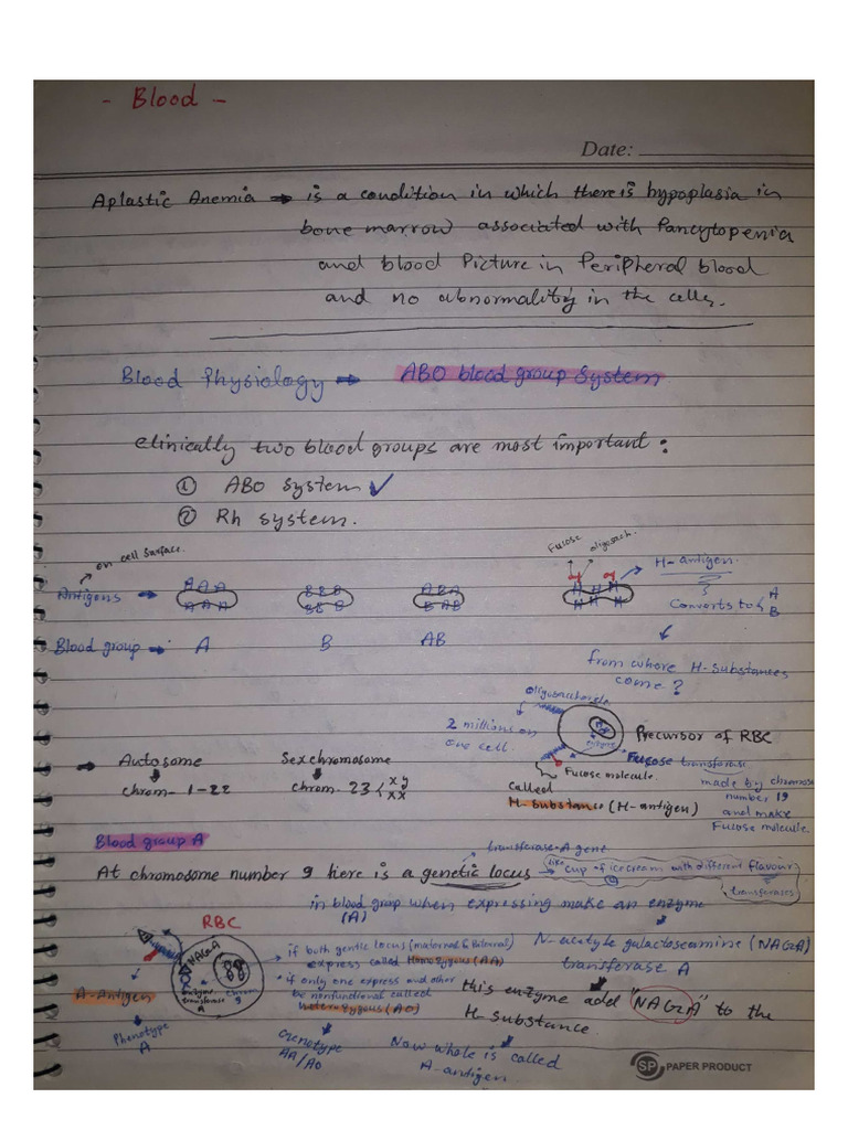 63ff64a98c474 Blood Group System Abo and RH Dr. Najeeb Lecture Notes | PDF