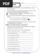 Possessive Noun Hunt | PDF