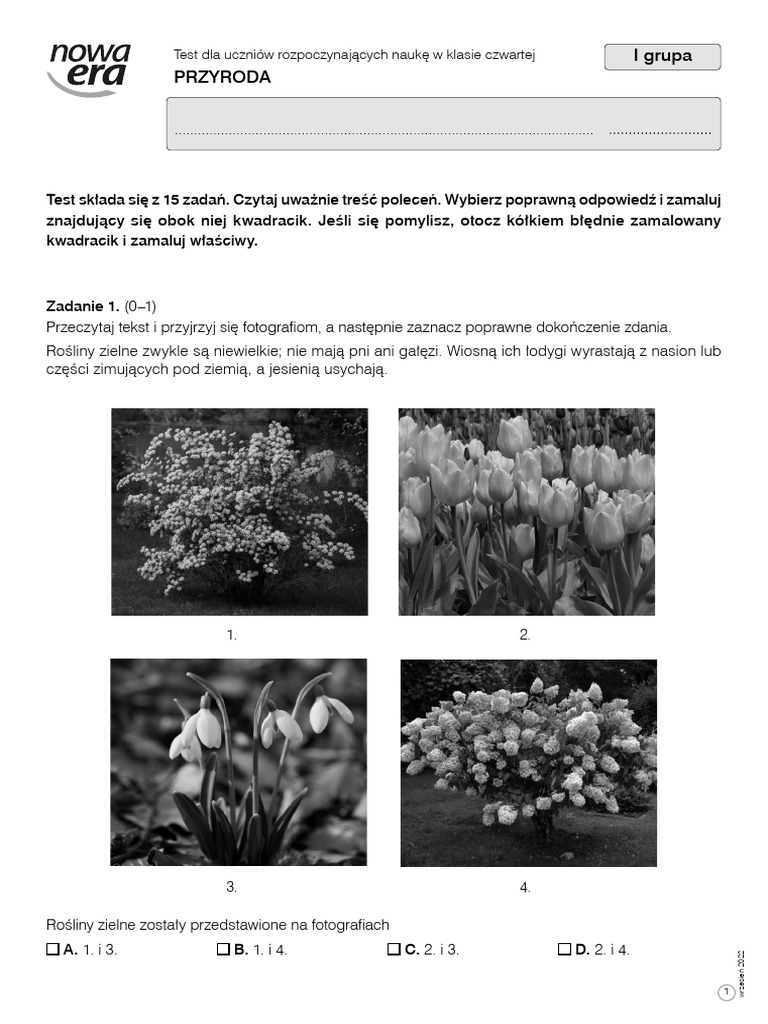 Diagnoza Przyroda | PDF