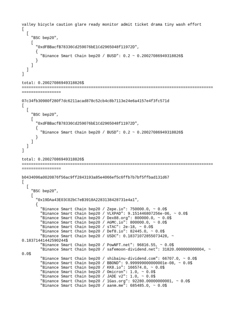 BSC BEP20 Token Overview | PDF | Applications Of Cryptography | Companies