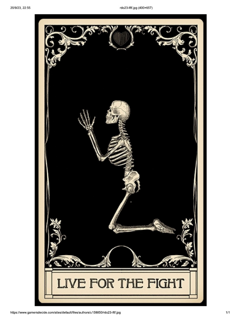 Live For The Fight | PDF