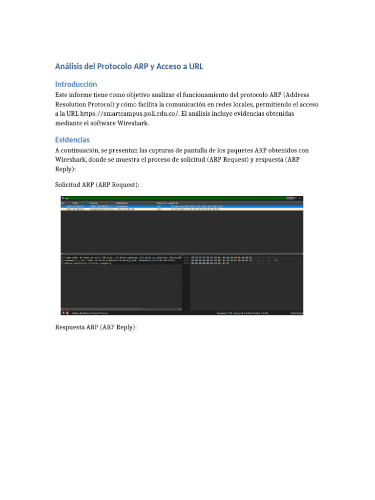 Informe_ARP_Analisis | PDF
