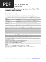 CAP Cancer Protocol Colon NET | PDF | Large Intestine | Pathology