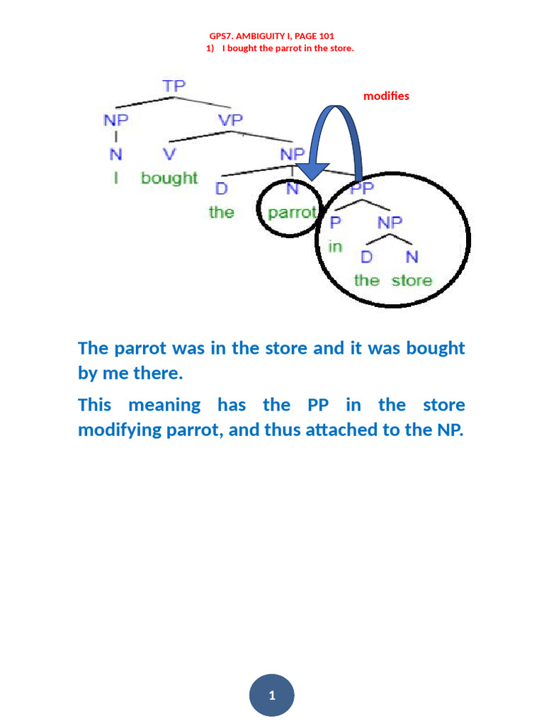 GPS7. AMBIGUITY I PAGE 101 1) I Bought The Parrot in The Store | PDF