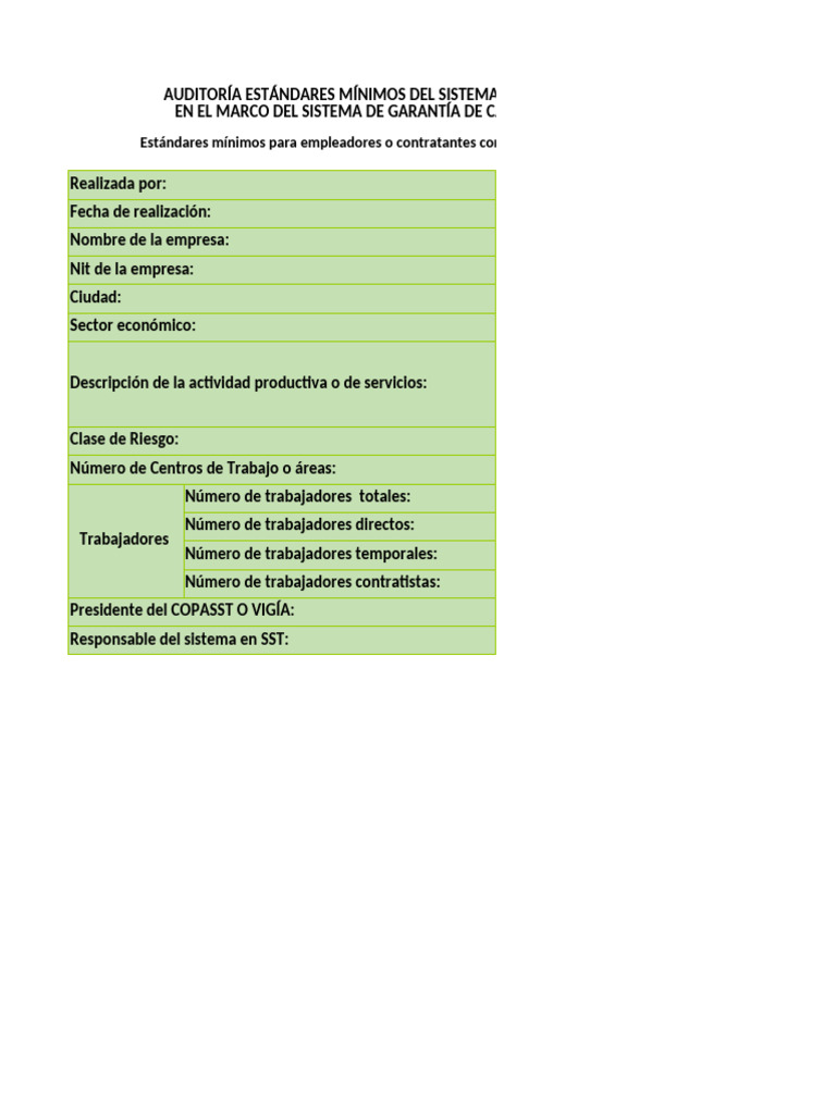 2. Evaluaciขn Inicial Estandares Minimos Cach | PDF | Seguridad y salud ocupacional | Business