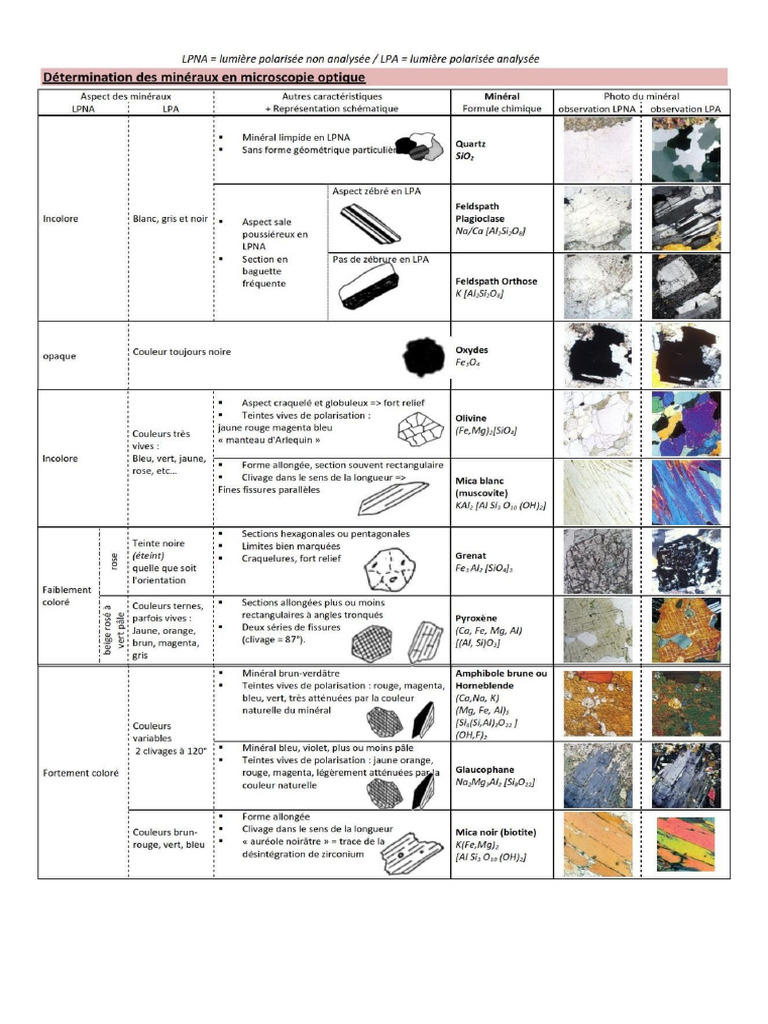 1SVT 1B C1 1ba Fiche Minéraux | PDF