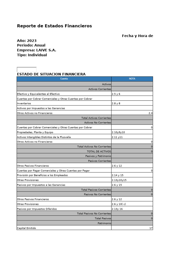 Reporte Detalle Informacion Financiero NUEVO | PDF | Estado de resultados | Hoja de balance