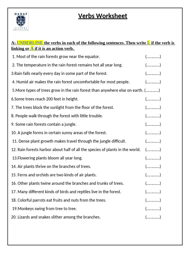 Verbs worksheet | PDF | Rainforest | Forests