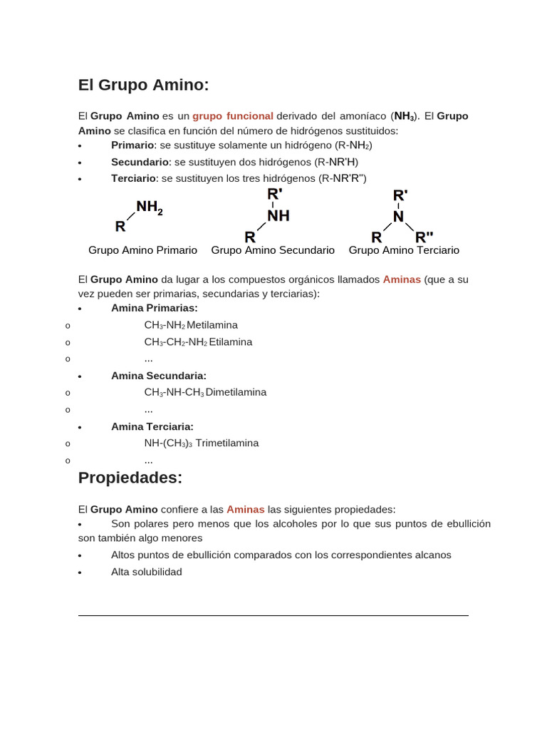 Expo Grupo Amino | PDF | Amina | Cetona