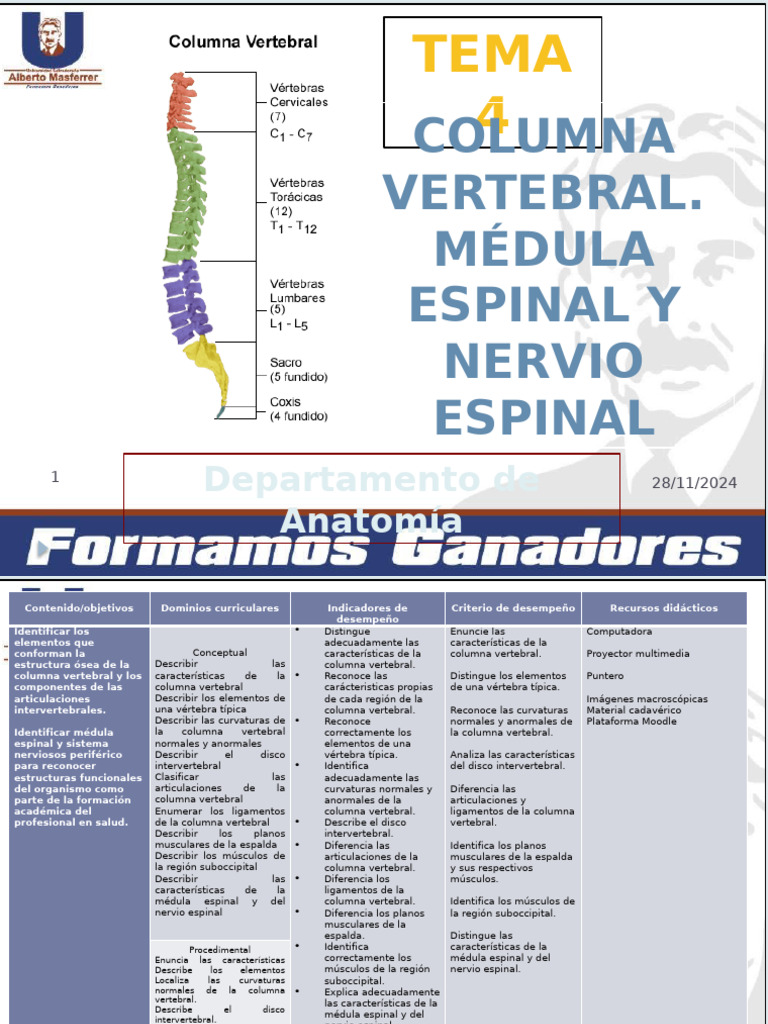 Tema 4 Columna Vertebral. Médula Espinal y Nervio Espinal | PDF | La columna vertebral | Vértebra