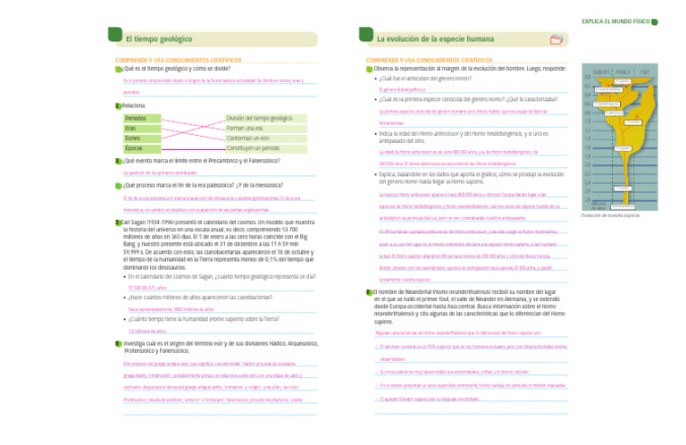 D-4º Sol-Prac-Act 4-Cyt-Und 7 | PDF | Homo | neanderthal