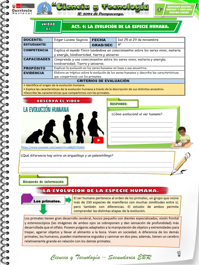 Actividad 4-2 | PDF | Homo | Humano